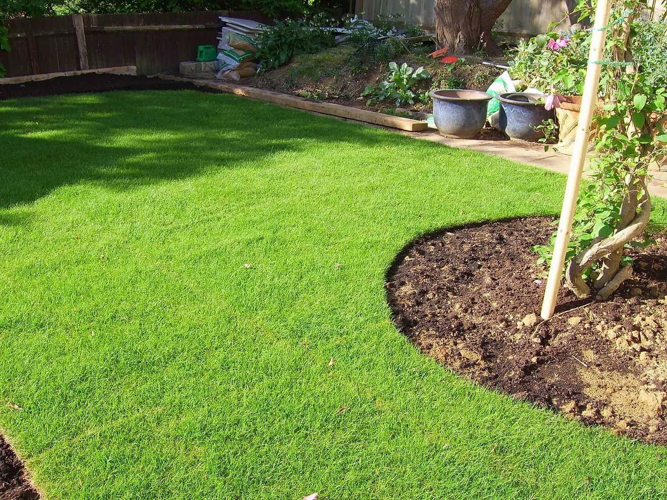 Lawn Care 5 - Complete Turf Management